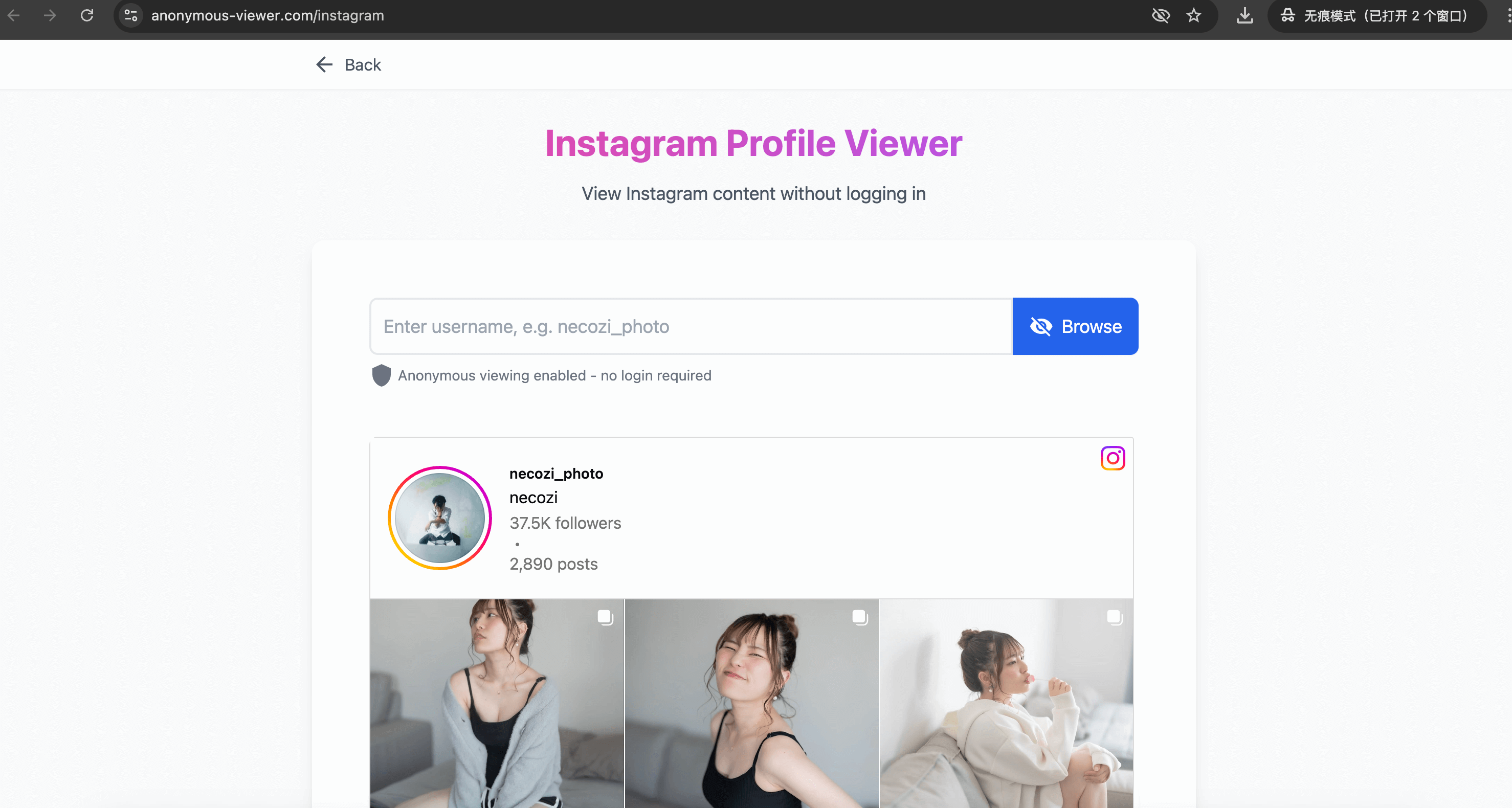 Instagram Viewer | Free Online Tool