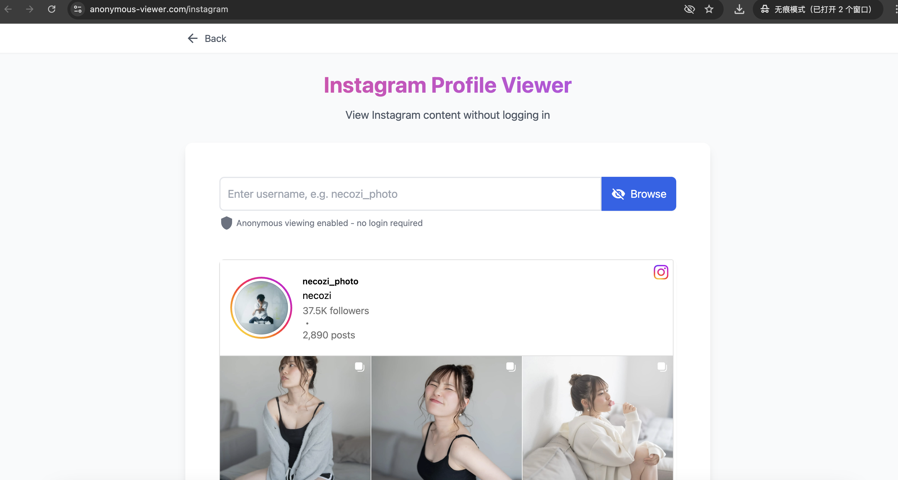 Instagram Viewer | Free Online Tool